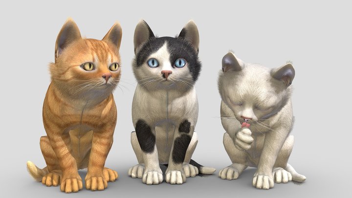 Kitten 3D models - Sketchfab