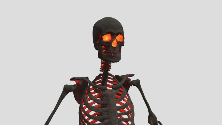 Bonelab 3D models - Sketchfab