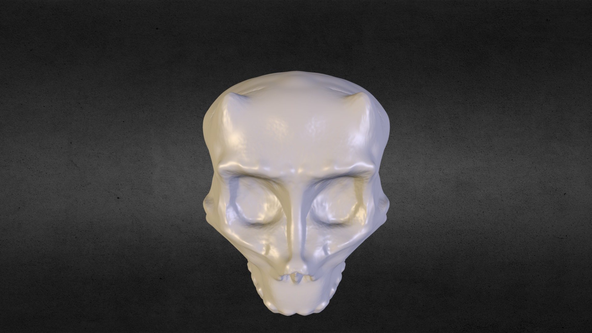 Demon Skull Sculpt - 3D model by canaanwarren [9bceff6] - Sketchfab