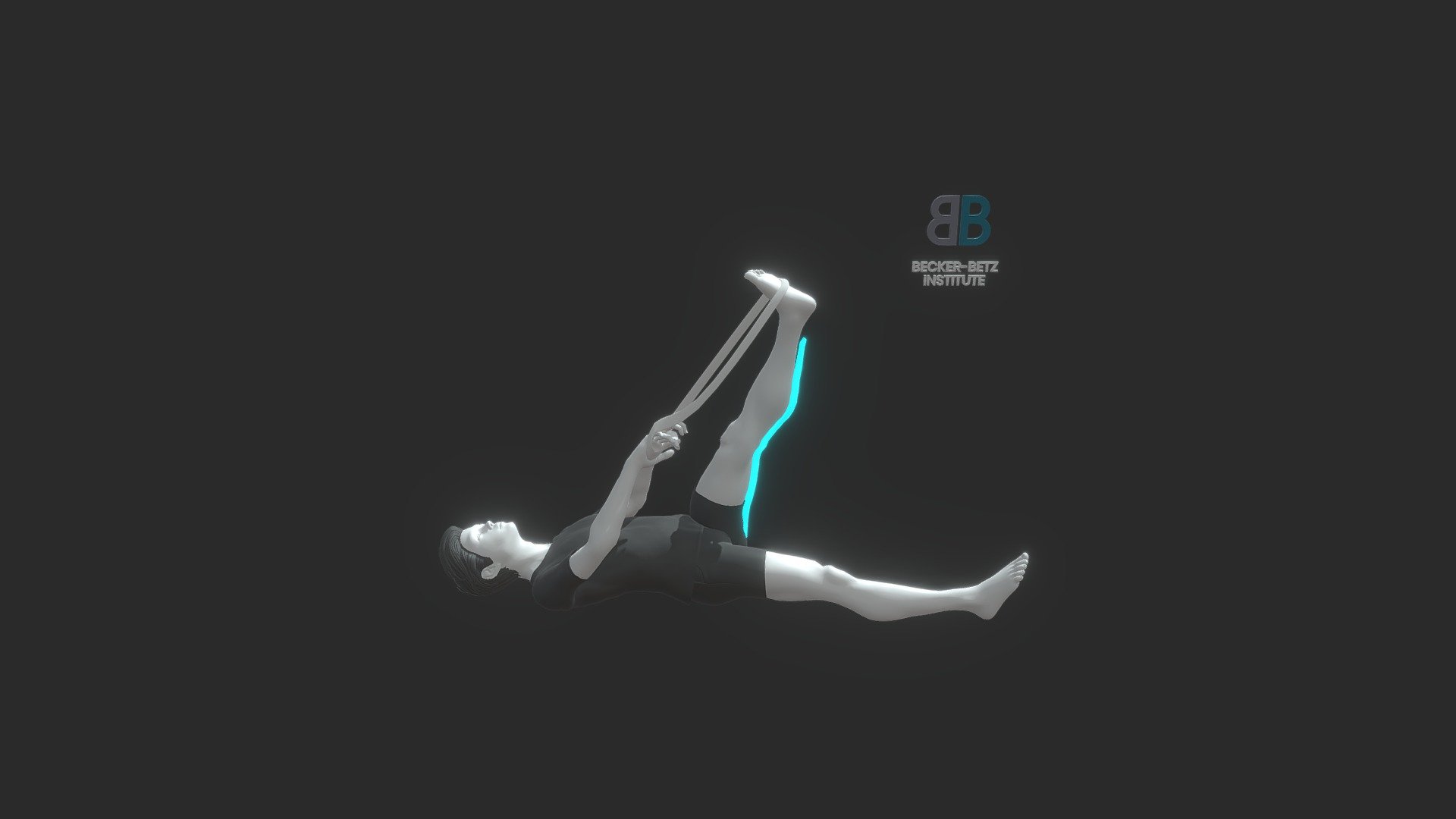 Hamstrings_3_MAN - 3D model by BeckerBetz [9bd675f] - Sketchfab