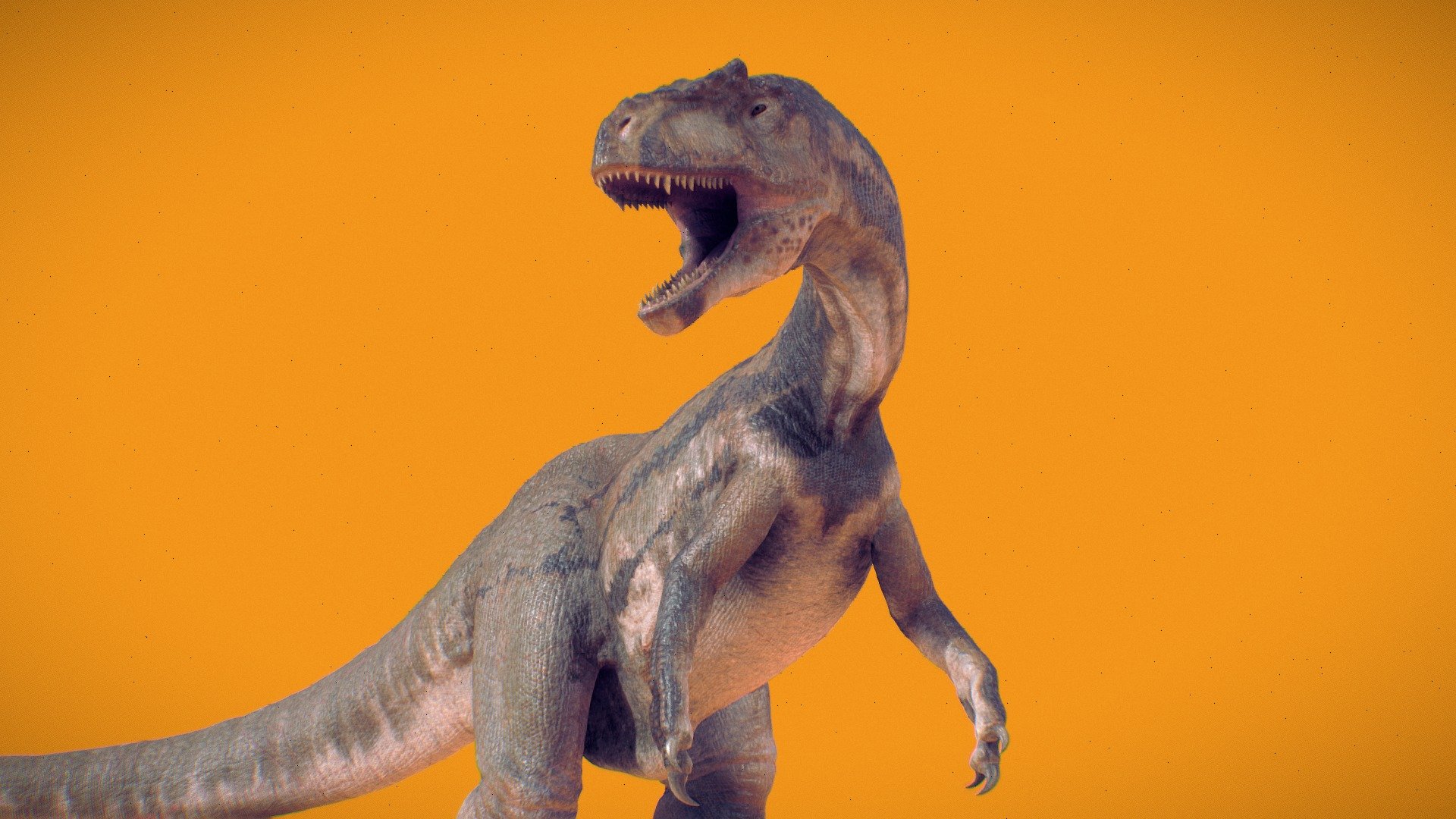 Allosaurus - 3D model by Marcel Schanz (@mschanz) [9bd8f99] - Sketchfab
