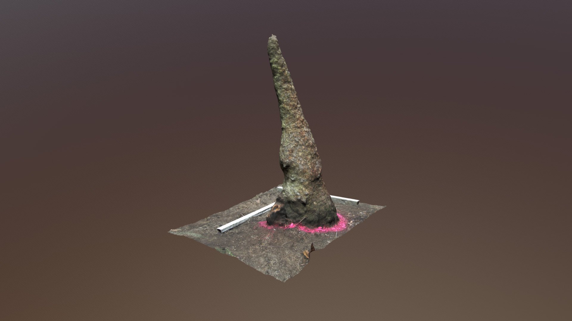 Termite mound Mn7-2016 - 3D model by pnauer [9bd9030] - Sketchfab