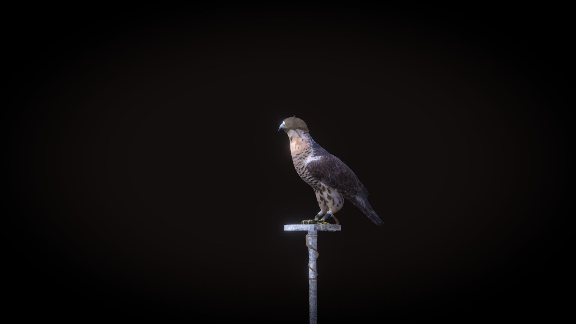 The Peregrine falcon - Buy Royalty Free 3D model by 3D-DESIGN IMSA ...