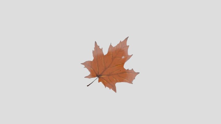Mapleleaf 3D models - Sketchfab