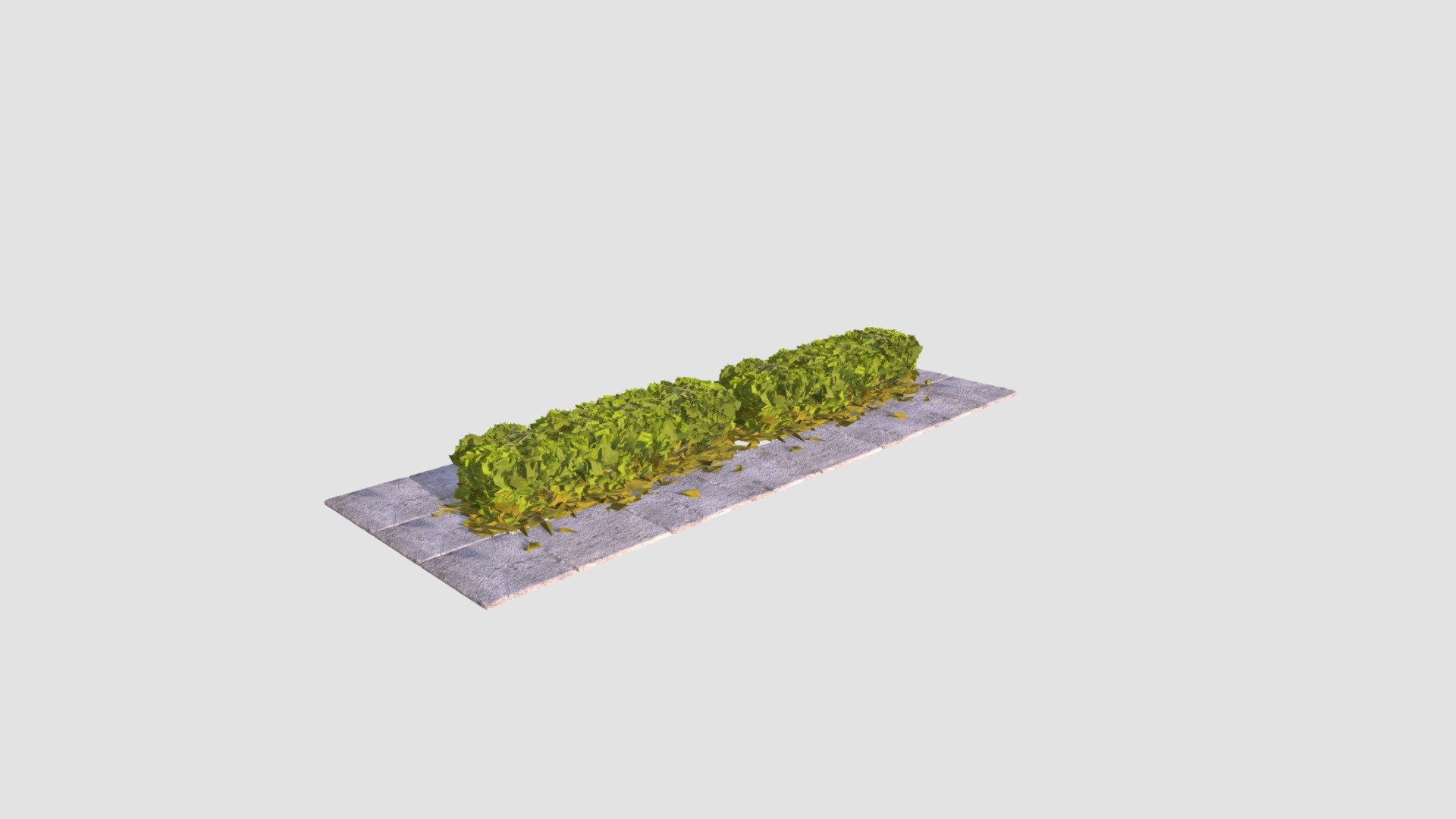 hedge - Buy Royalty Free 3D model by Evermotion [9be6a05] - Sketchfab Store