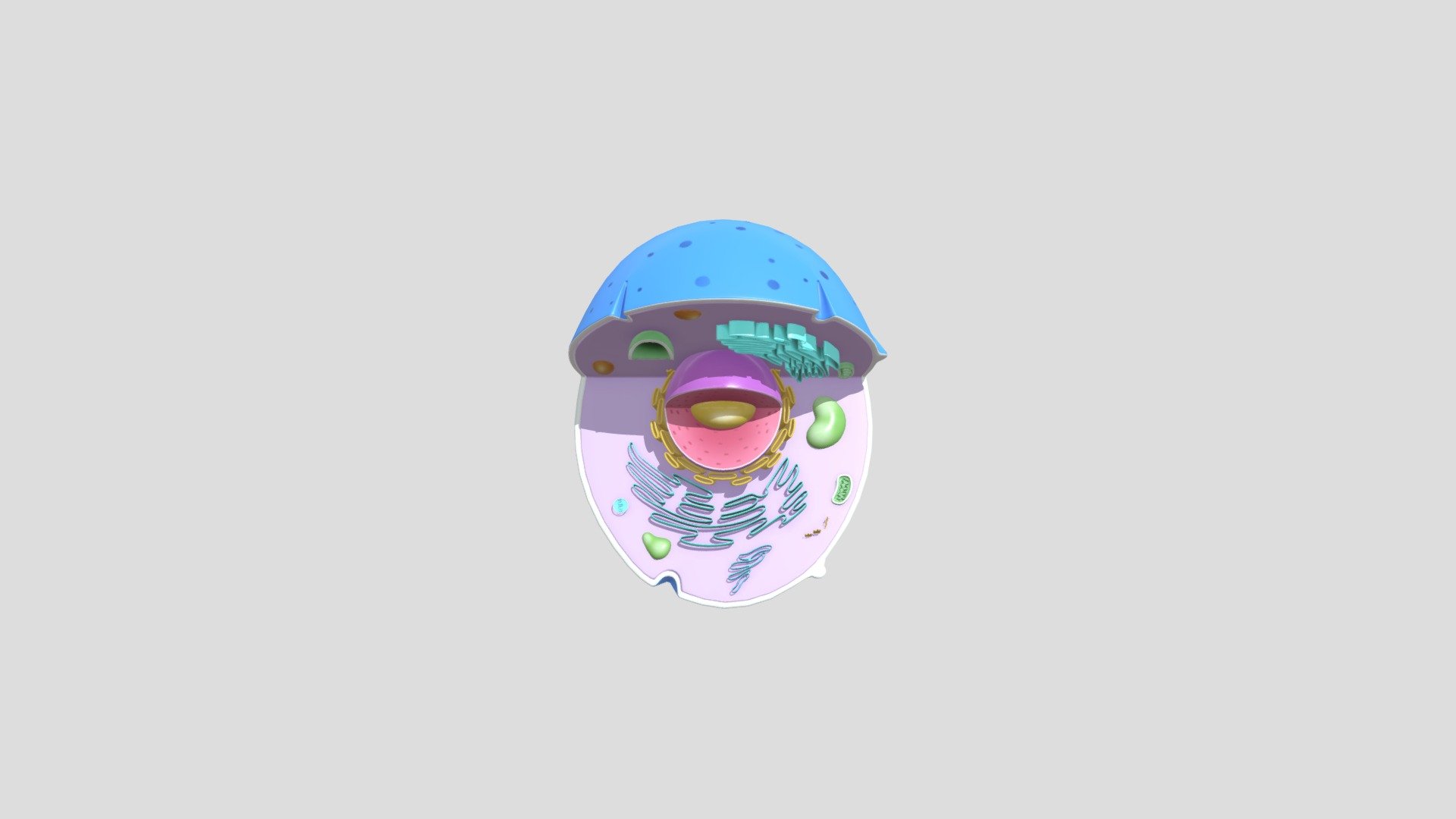 Sel Hewan - Download Free 3D model by Deni_alam [9be78d5] - Sketchfab