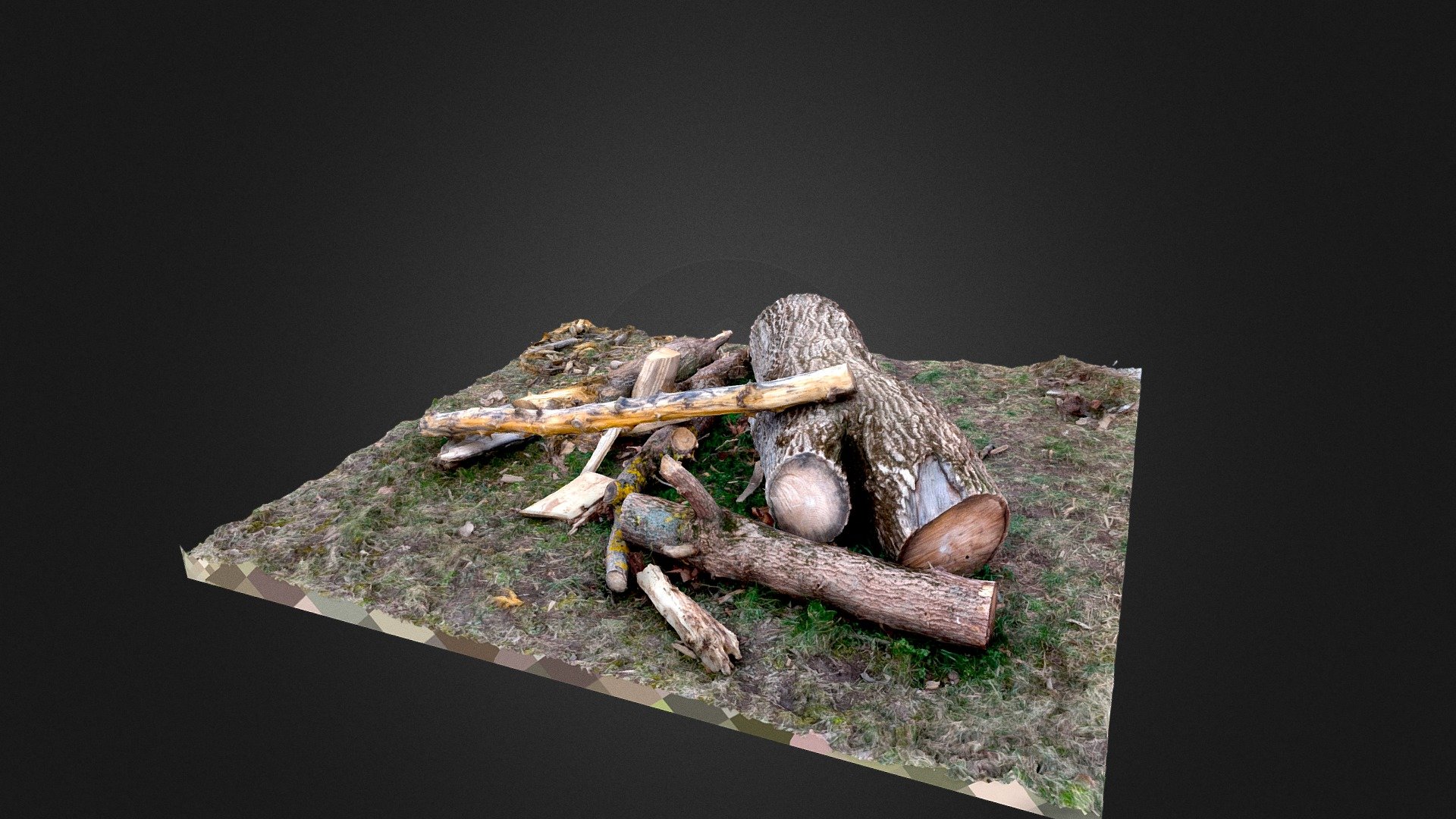 A pile of cut tree - Download Free 3D model by hibari_solutions ...