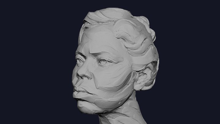 Reference 3D models - Sketchfab