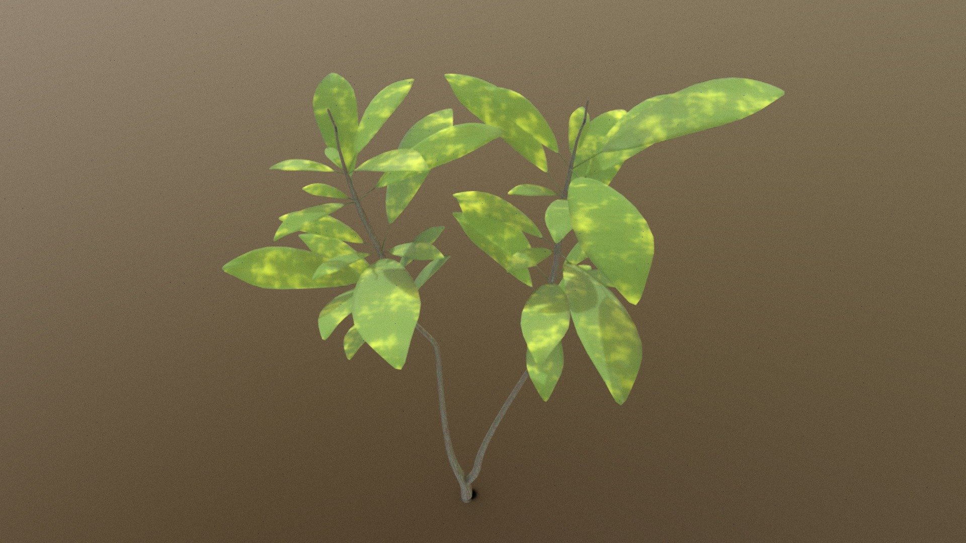 plant_simple.003 - Download Free 3D model by c.gleison [9beaa88 ...