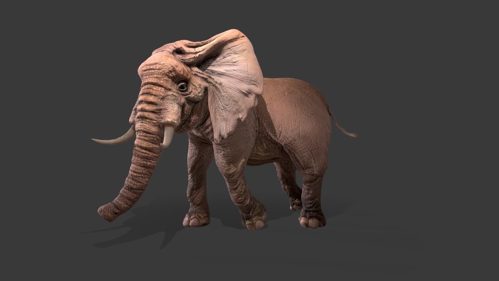 Realistic Animal 3D Models - A 3D model collection by Sketchfab Store ...