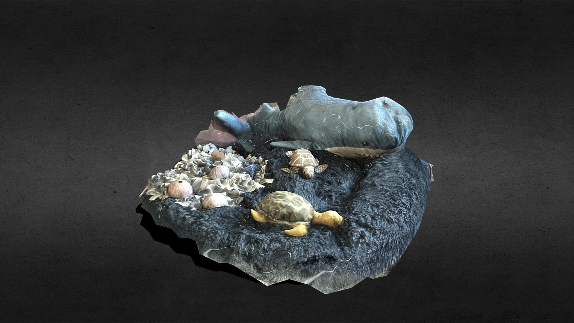 under the sea - 3D model by lisashafe [9bf060b] - Sketchfab