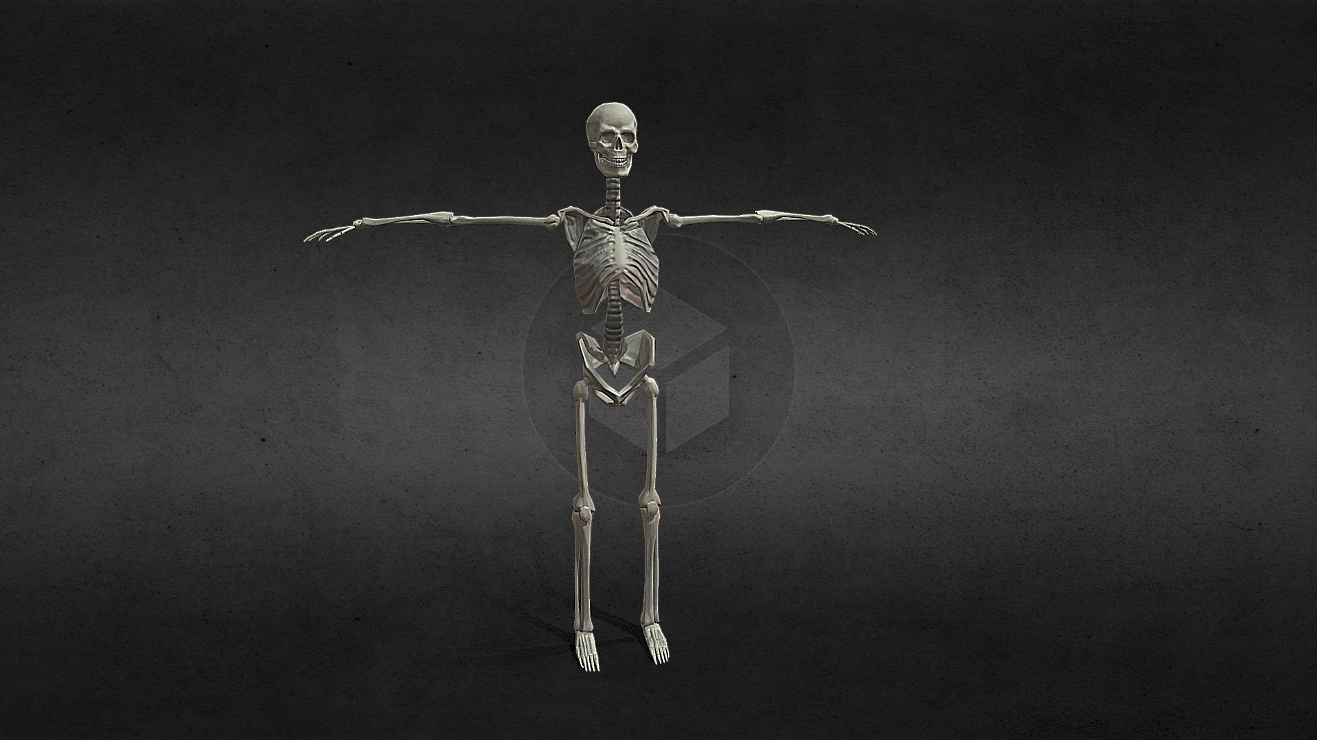 Human skeleton asset - Download Free 3D model by GPuppeteer3D (@JoseGP3D) [9bf4087] - Sketchfab