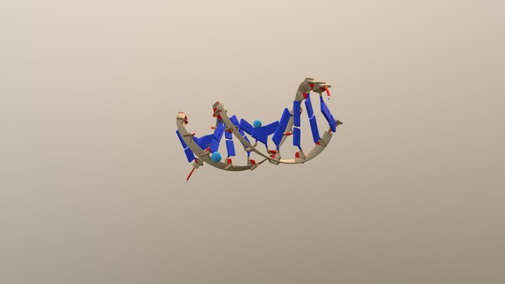 Double-helix 3D models - Sketchfab
