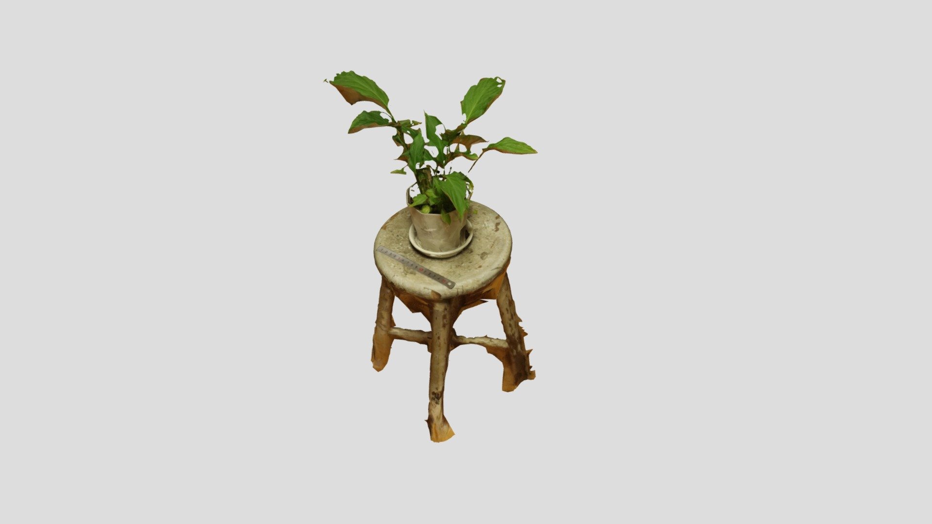 Tree on the chair - Download Free 3D model by konitarou (@utmyukikaze ...