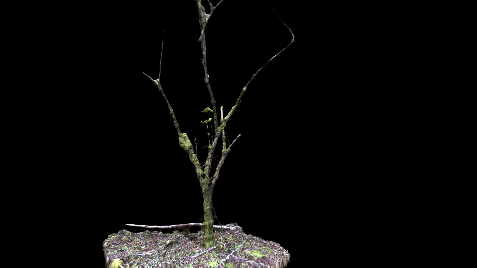 The Mossy Tree - Buy Royalty Free 3D model by NOMADICX (@Astutsman ...