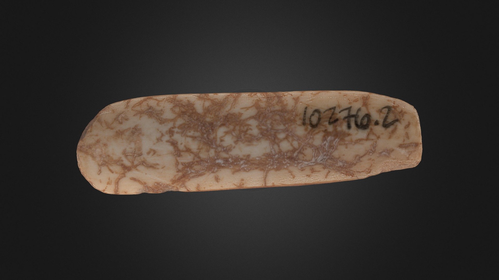 10276 2 Bone Gaming Piece - Download Free 3D model by Robert Bischoff ...