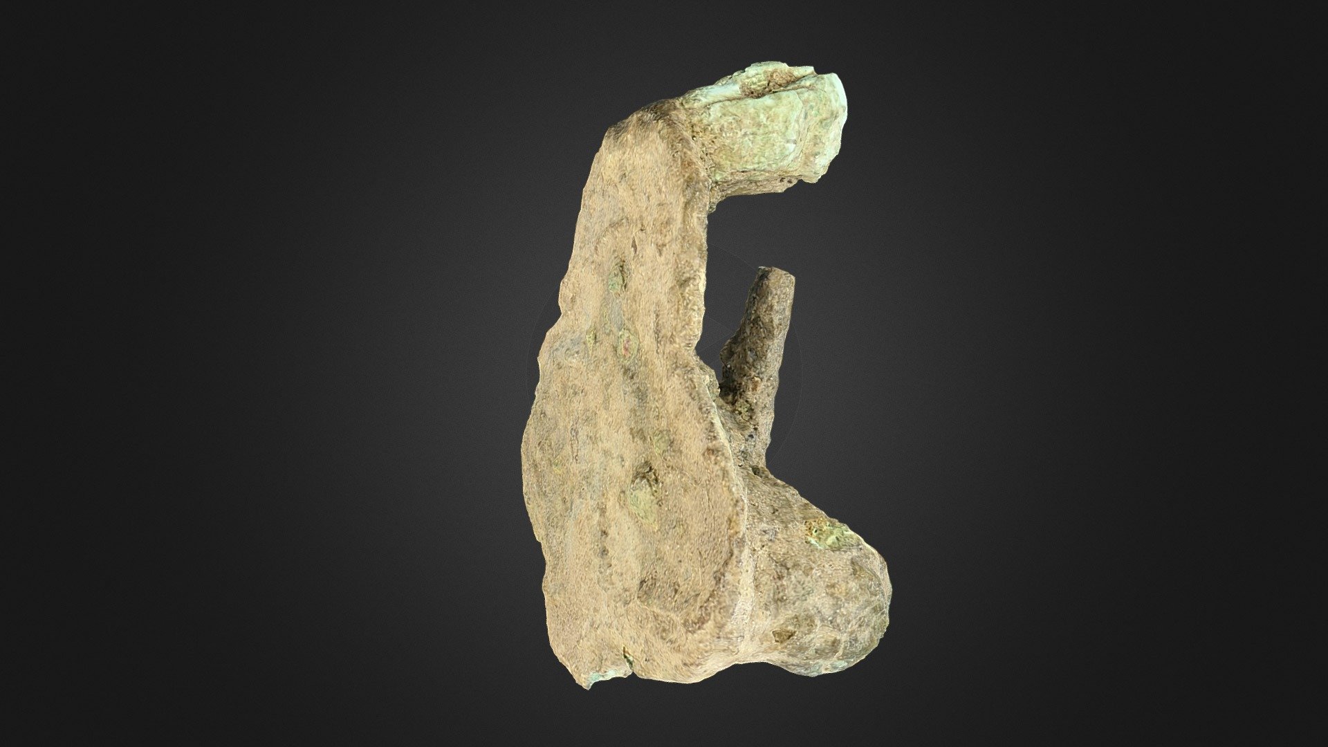 schijffibula | plate brooch - 3D model by Frank.Postma [9c2bb12 ...