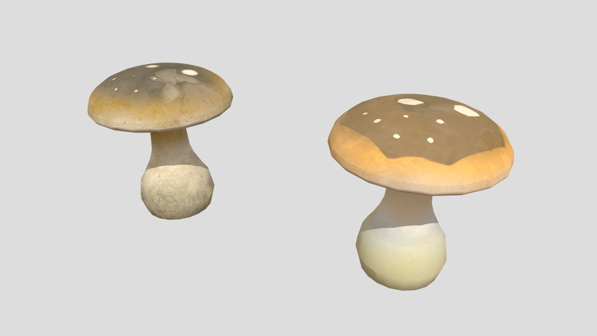 Medium Mushroom - Realistic and Stylized - 3D model by Adam Fakla ...