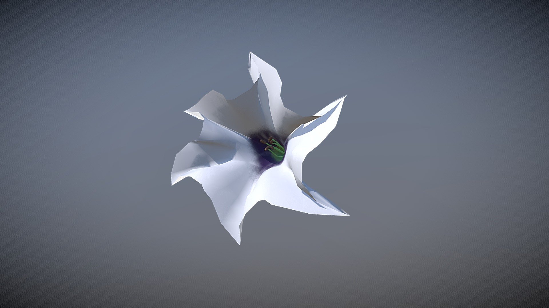 Datura - 3D model by Daturafel [9c317ed] - Sketchfab