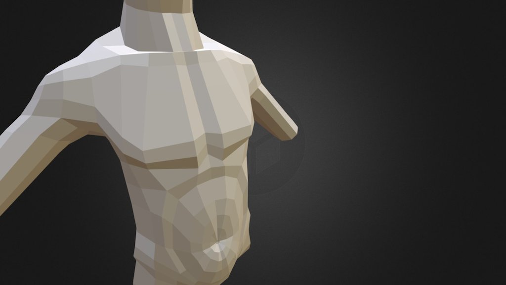 20170526 Male Torso - 3D model by Valthalin [9c3a6ab] - Sketchfab