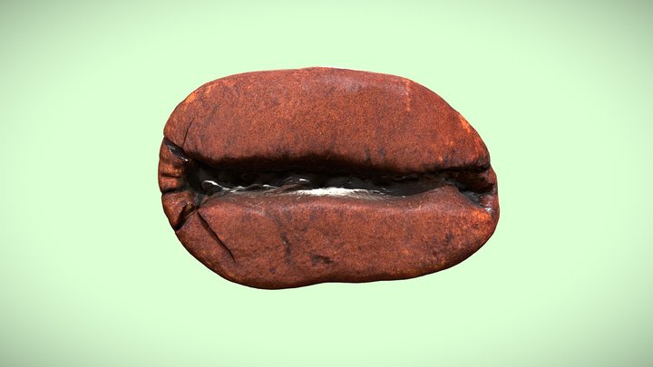 Coffee-beans 3D models - Sketchfab