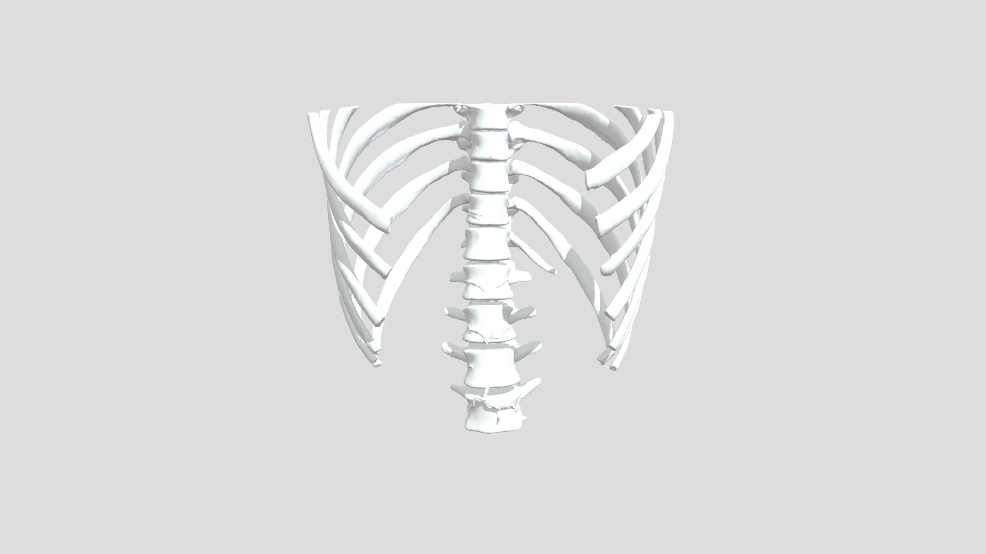 Bone alone test - Download Free 3D model by Qubx.3D (@mostafas ...