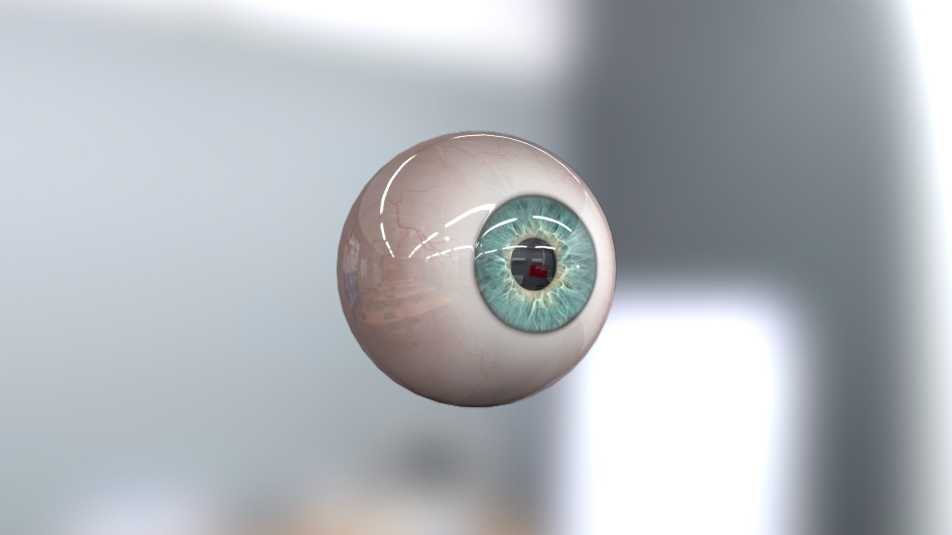 Realistic Eyeball - 3D model by loganvargas [9c58222] - Sketchfab