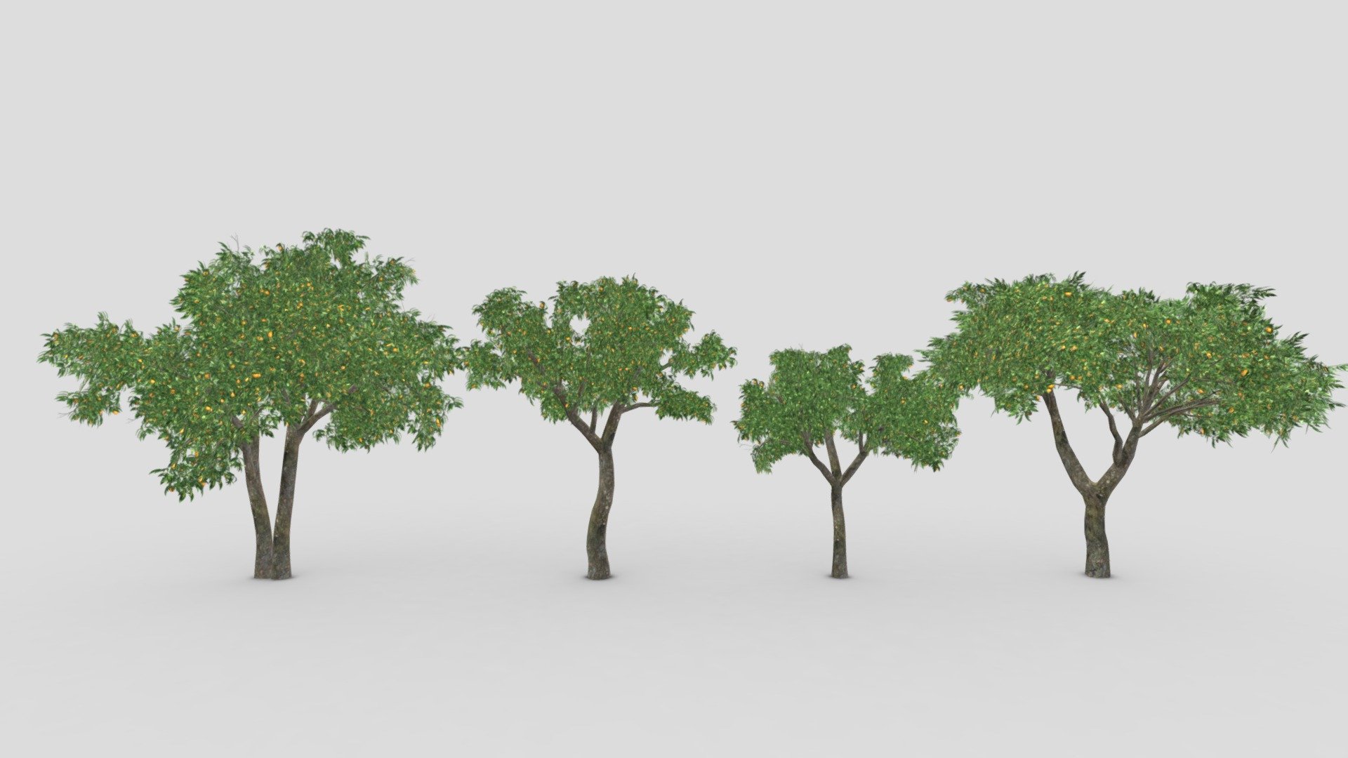 Orange Tree- Pack- 03 - Buy Royalty Free 3D model by ASMA3D [9c5a971 ...
