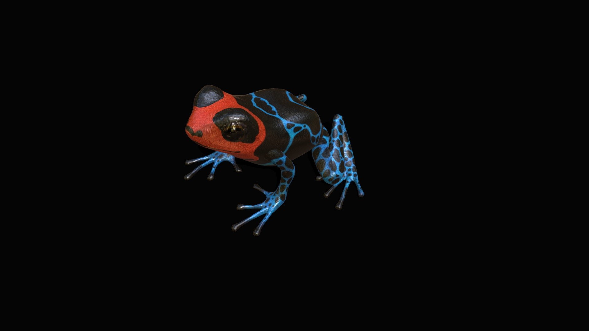 Blessed Poison Frog - 3D model by kenchoo [9c5d9b4] - Sketchfab
