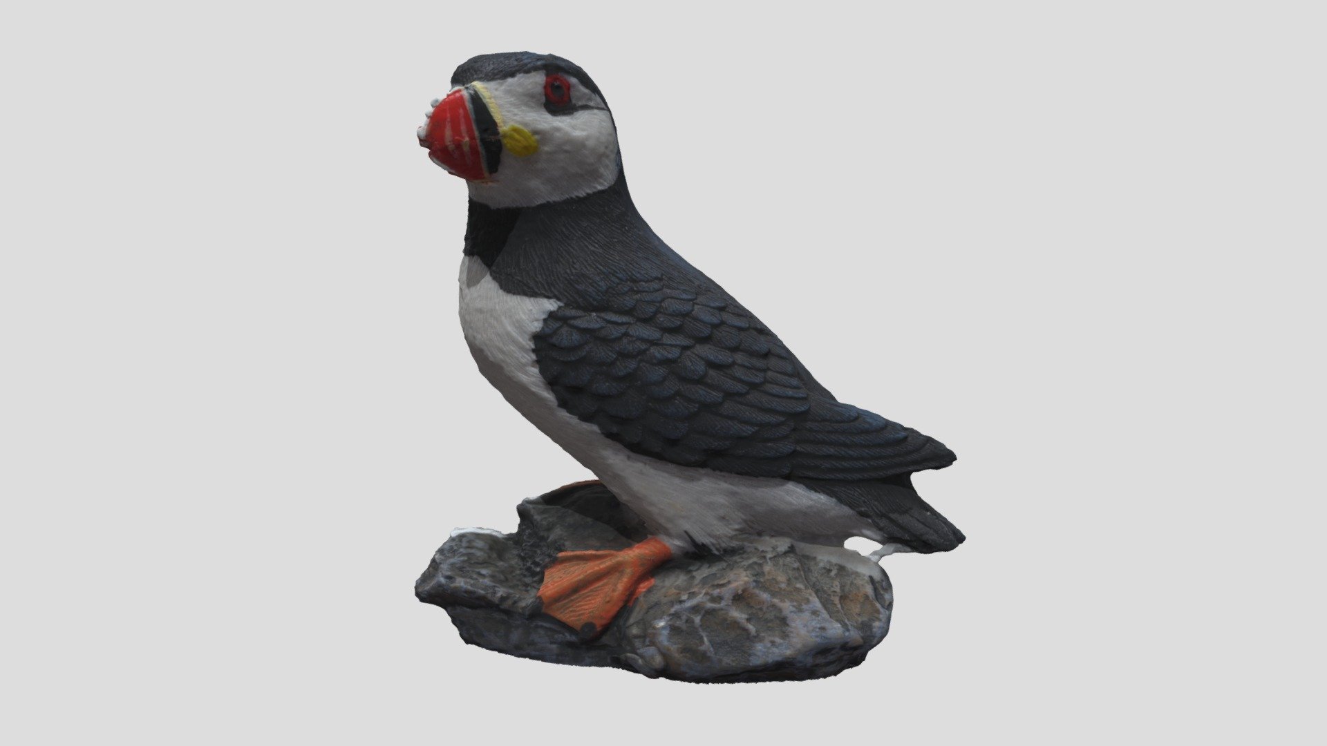 Puffin - 3D model by matt-j-davies [9c5f8fa] - Sketchfab