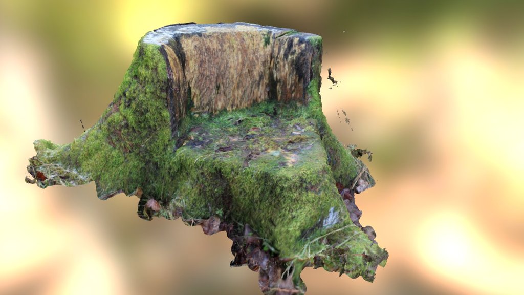 Tree Chair - 3D model by markus0000 [9c64813] - Sketchfab