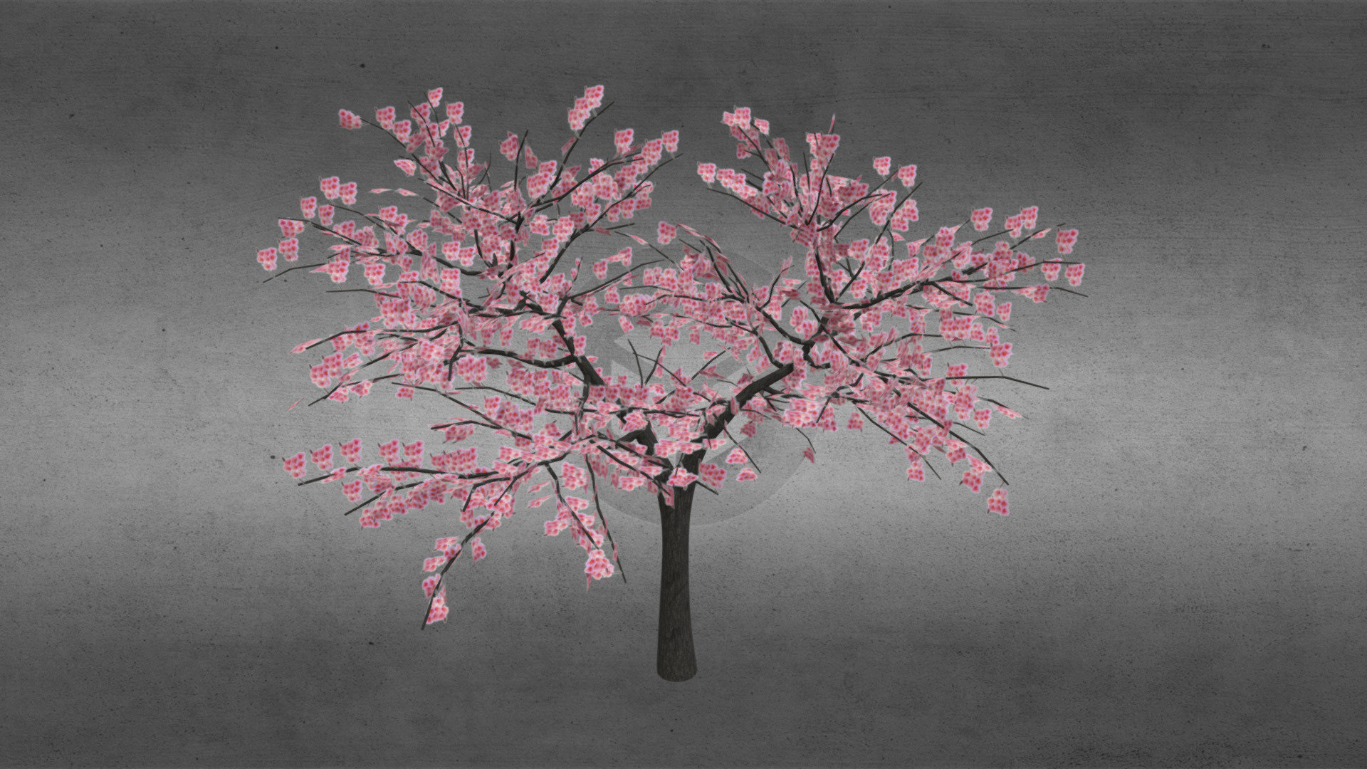 Cherry Tree - 3D model by 許䇹生 (@thpss92177) [9c78d80] - Sketchfab