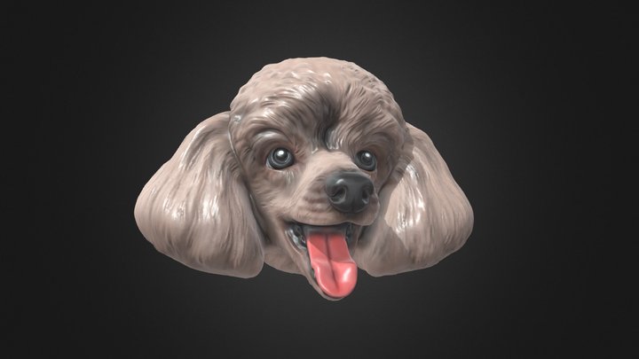 Poodle 3D models - Sketchfab