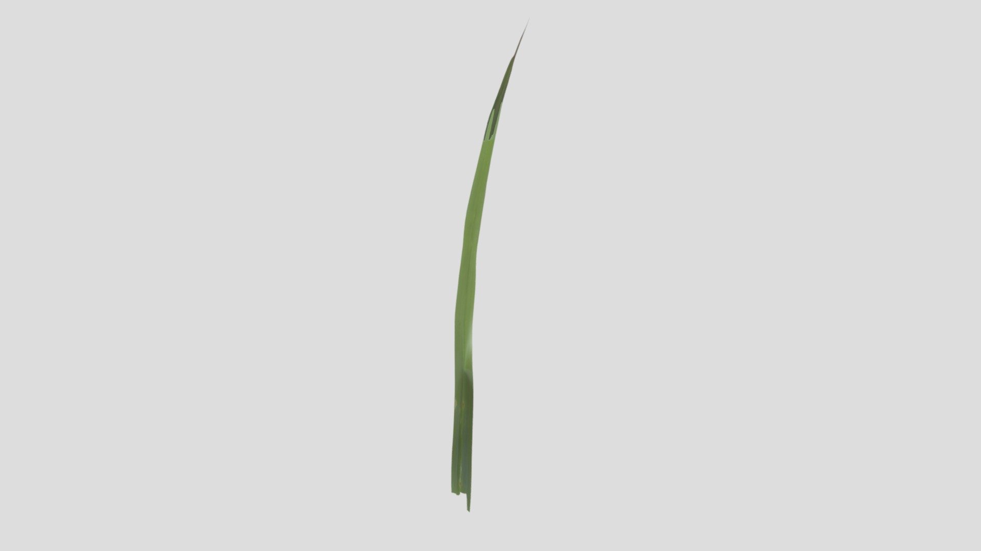 Basic-grass - Download Free 3D model by czienrg [9c7b480] - Sketchfab