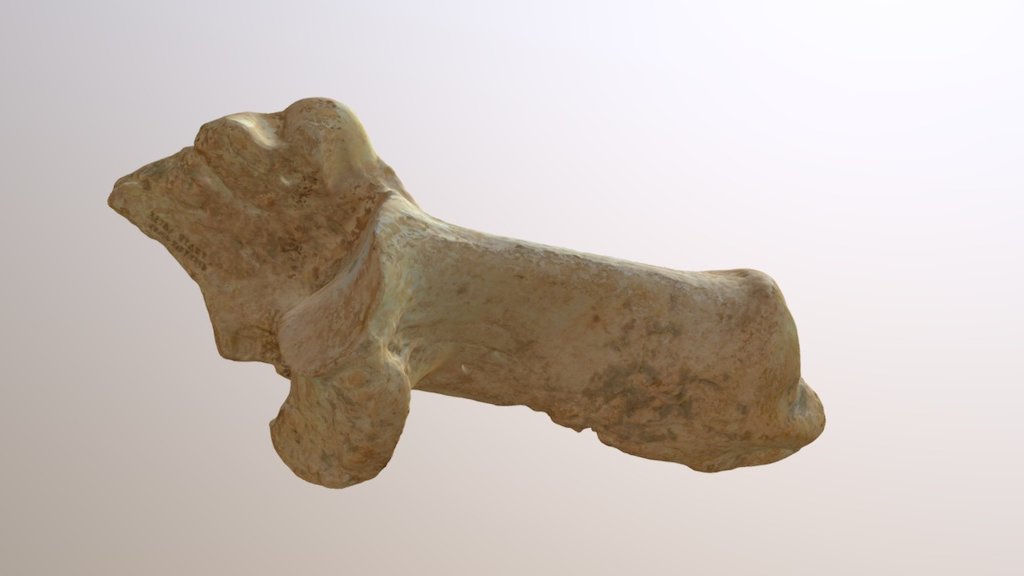 Ice Age Bison Calcaneus (VCU_3D_2861) - Download Free 3D model by ...