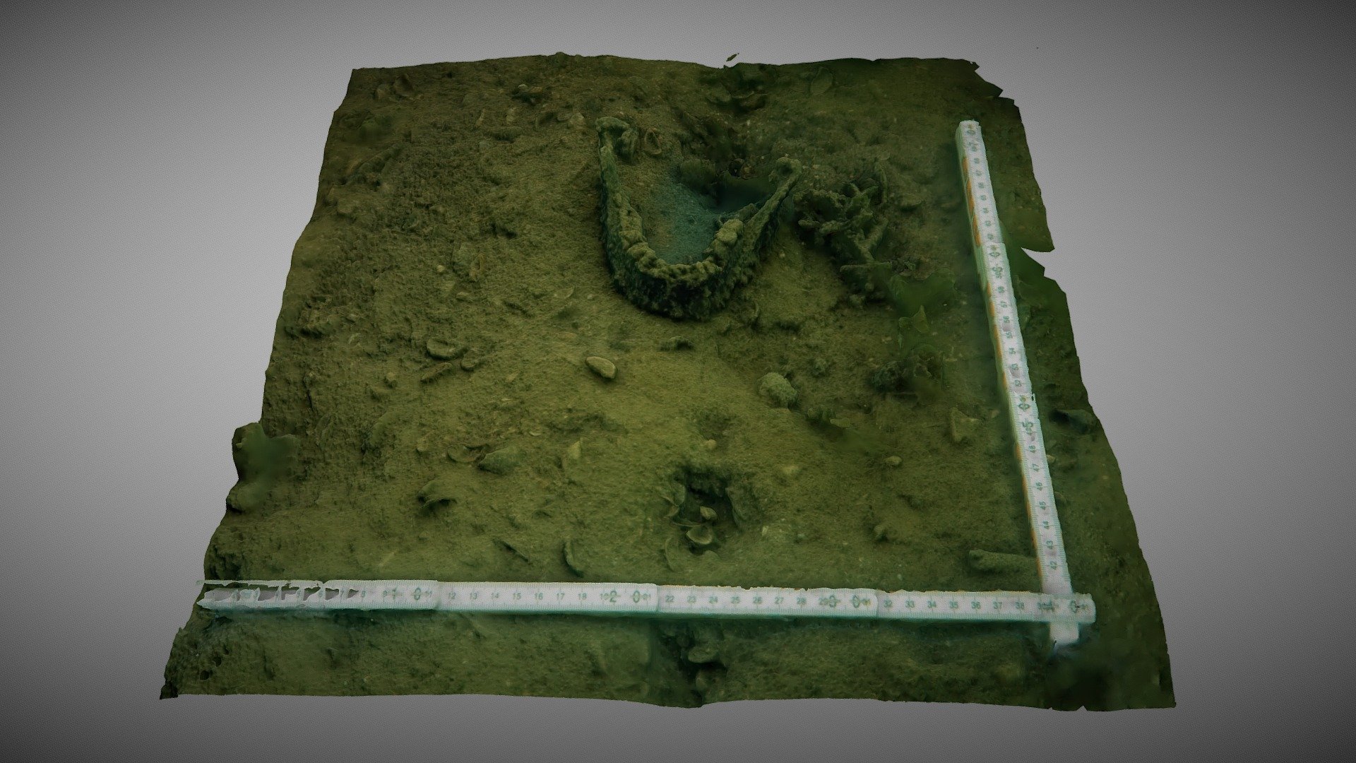 menschlicher Kiefer - 3D model by VUBB e.V. (@VUBB) [9c7f914] - Sketchfab