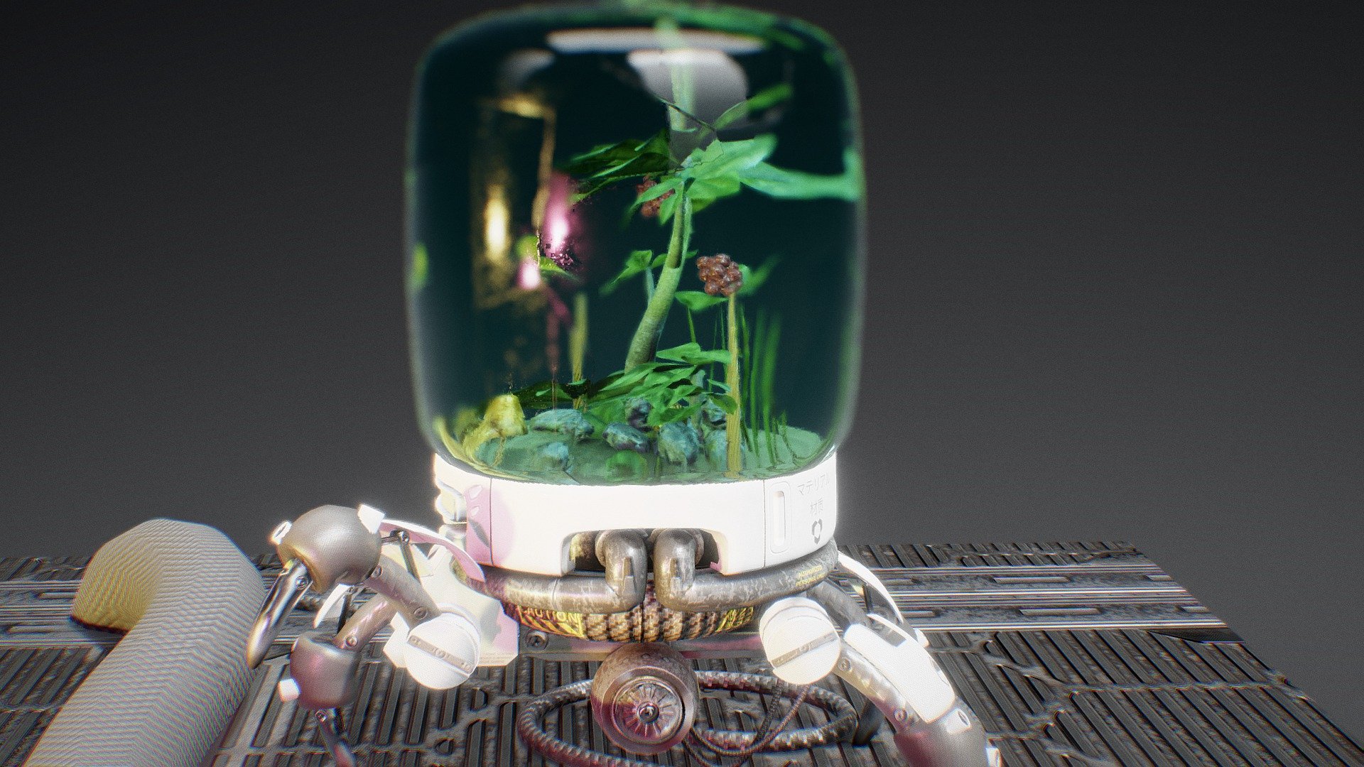 Terrarium Bot 02 - Download Free 3D model by Rostenbach [9c80016 ...