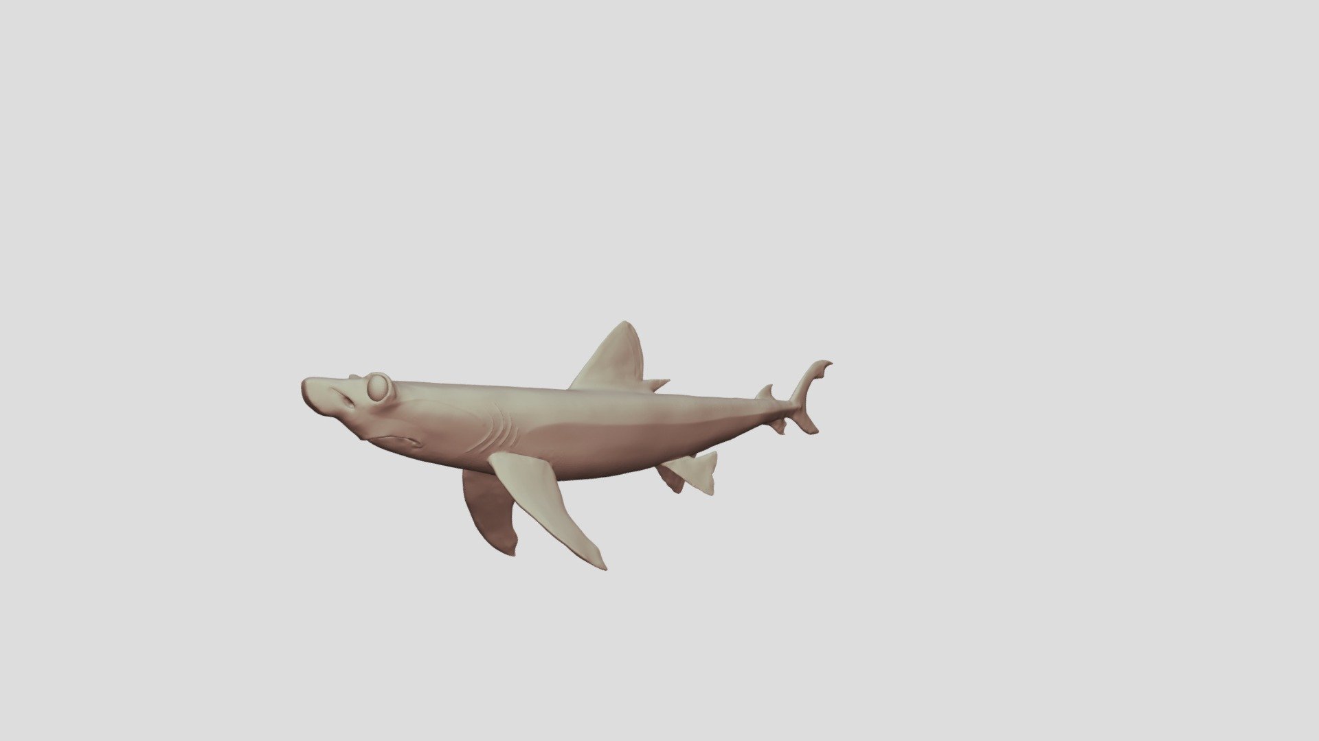 Shark_CGCookie - 3D model by NeLim [9c8e7eb] - Sketchfab