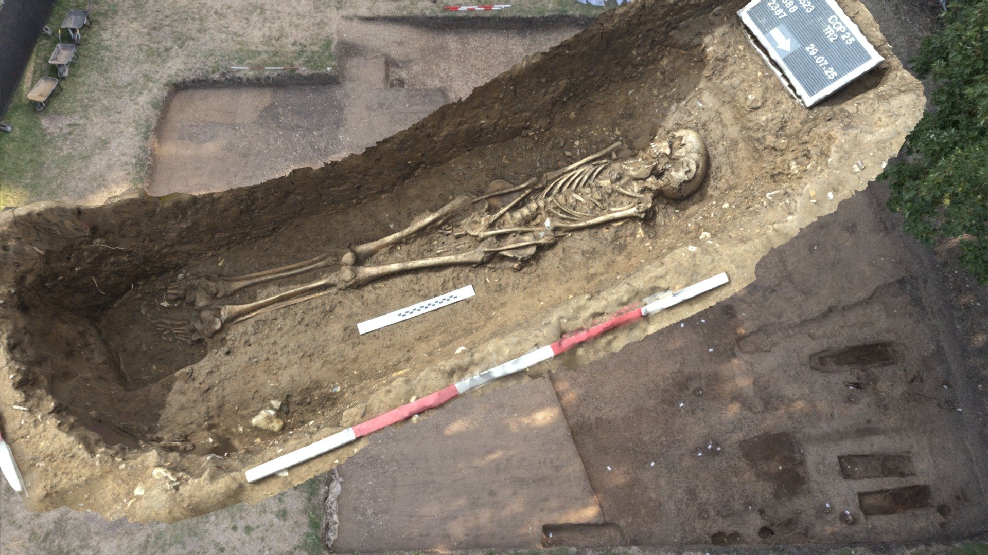 Cookham 2025 Trench 2 Skeleton 2523 2388 2387 - 3D model by University ...