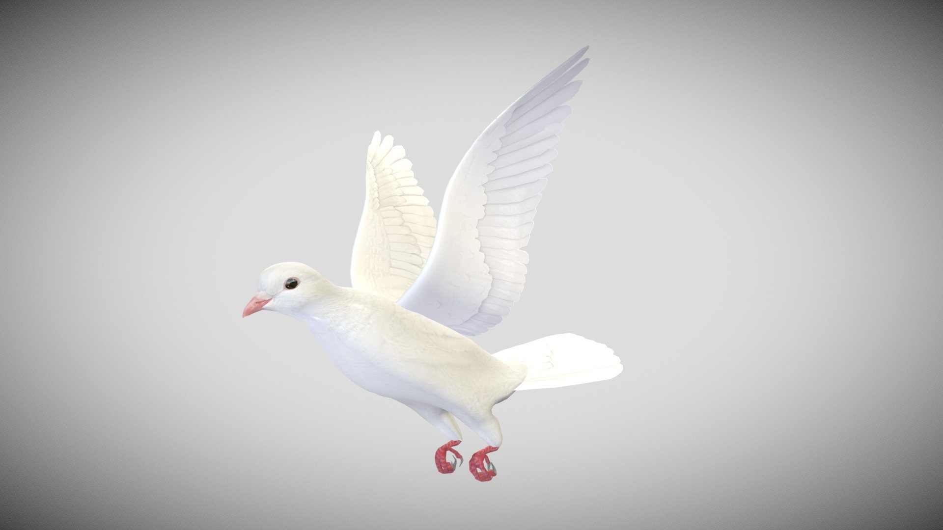 Realistic flying White Dove Low-poly - Buy Royalty Free 3D model by ...
