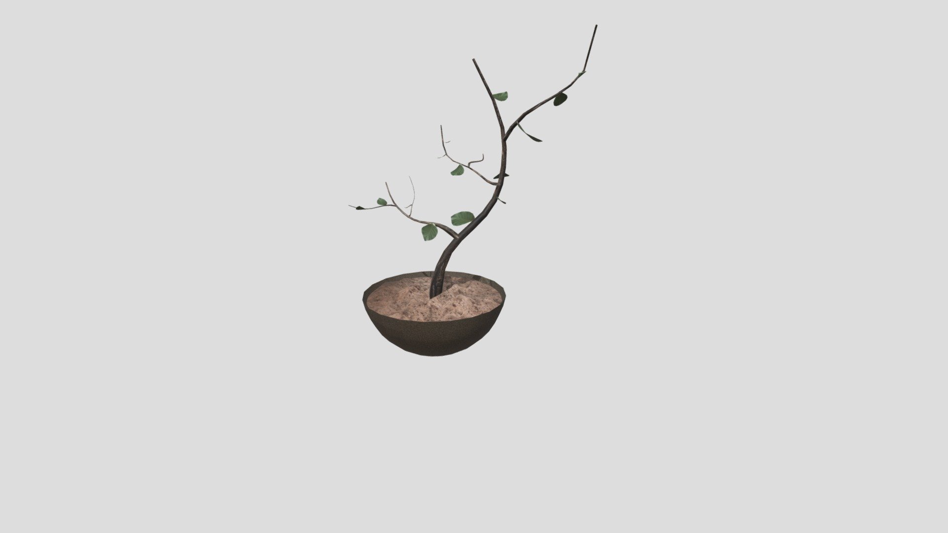Plant - Download Free 3D model by jtseitli [9c98199] - Sketchfab