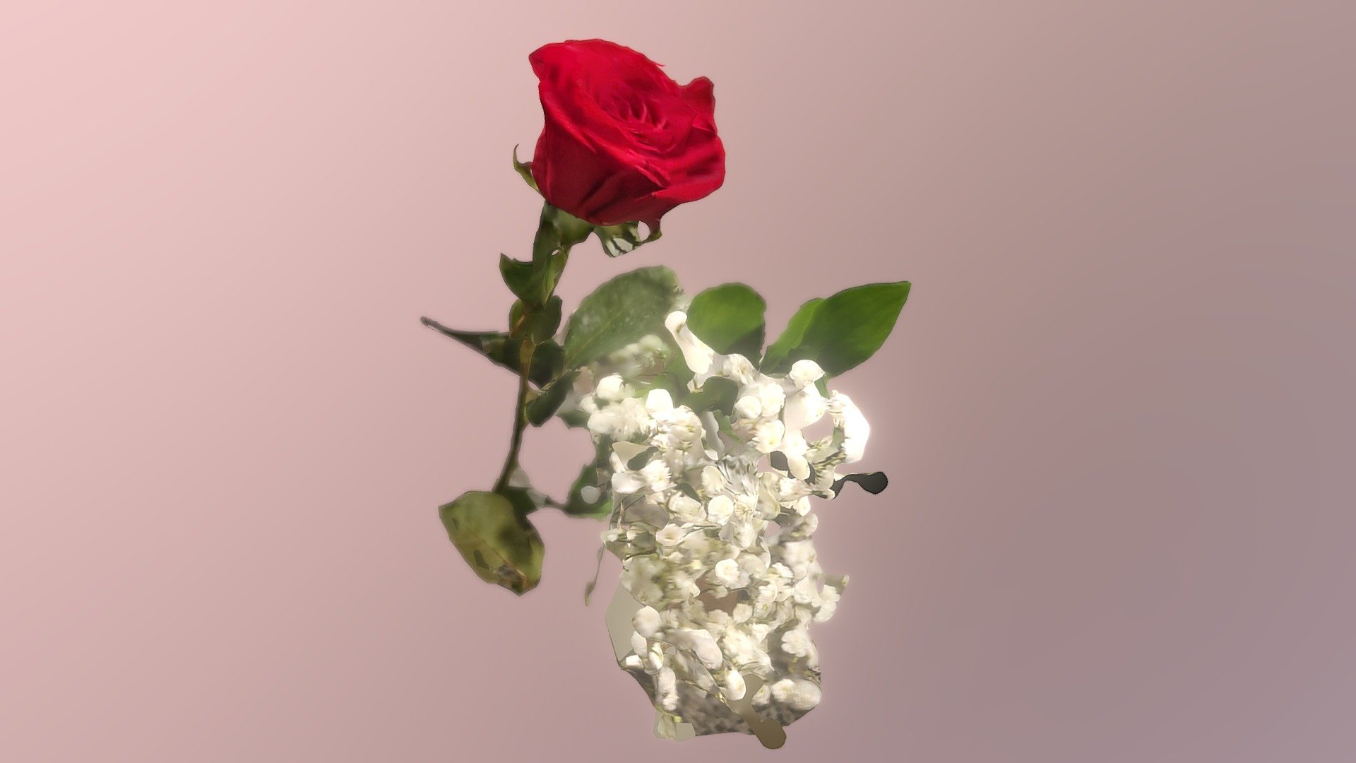 Red Rose - Download Free 3D model by stevencmutter [9ca2813] - Sketchfab