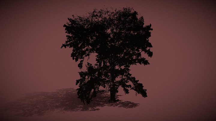 Pointcloud 3D models - Sketchfab