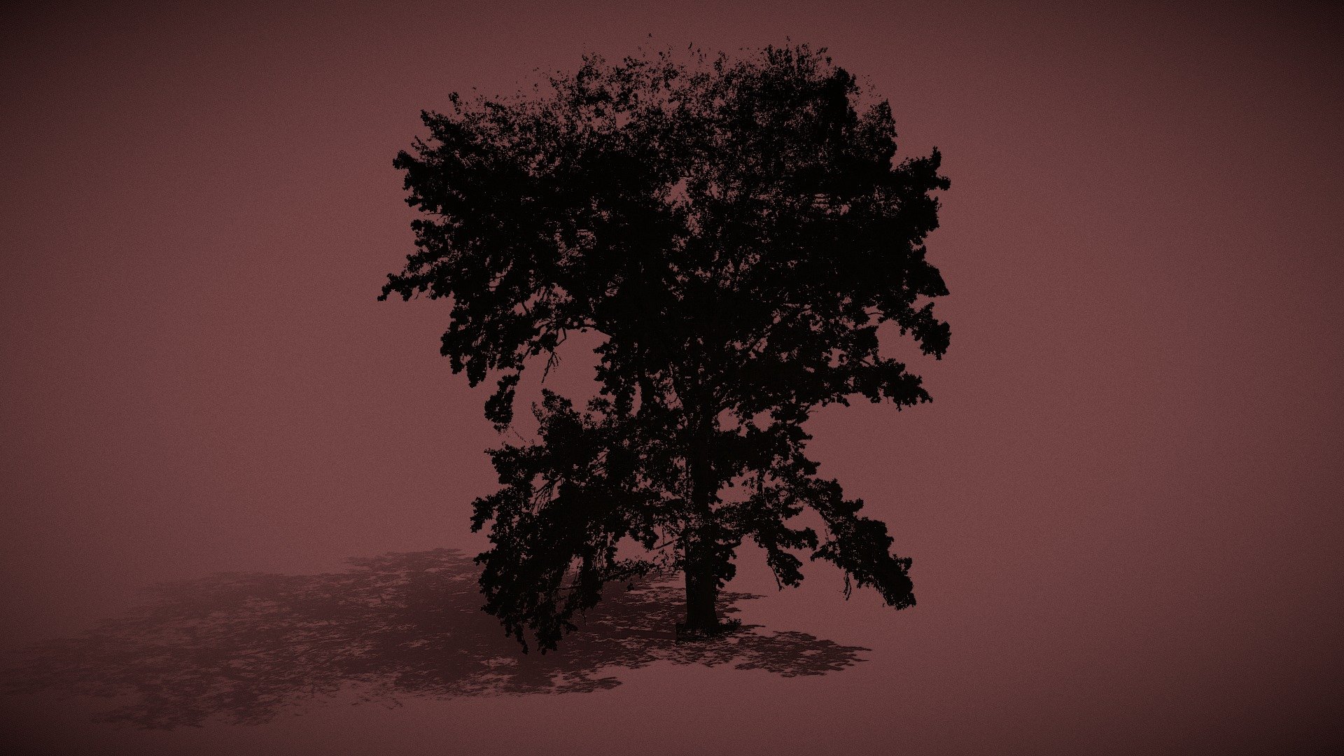 Tree shadow 02 - Buy Royalty Free 3D model by archiwum_xyz [9cbf4f4 ...