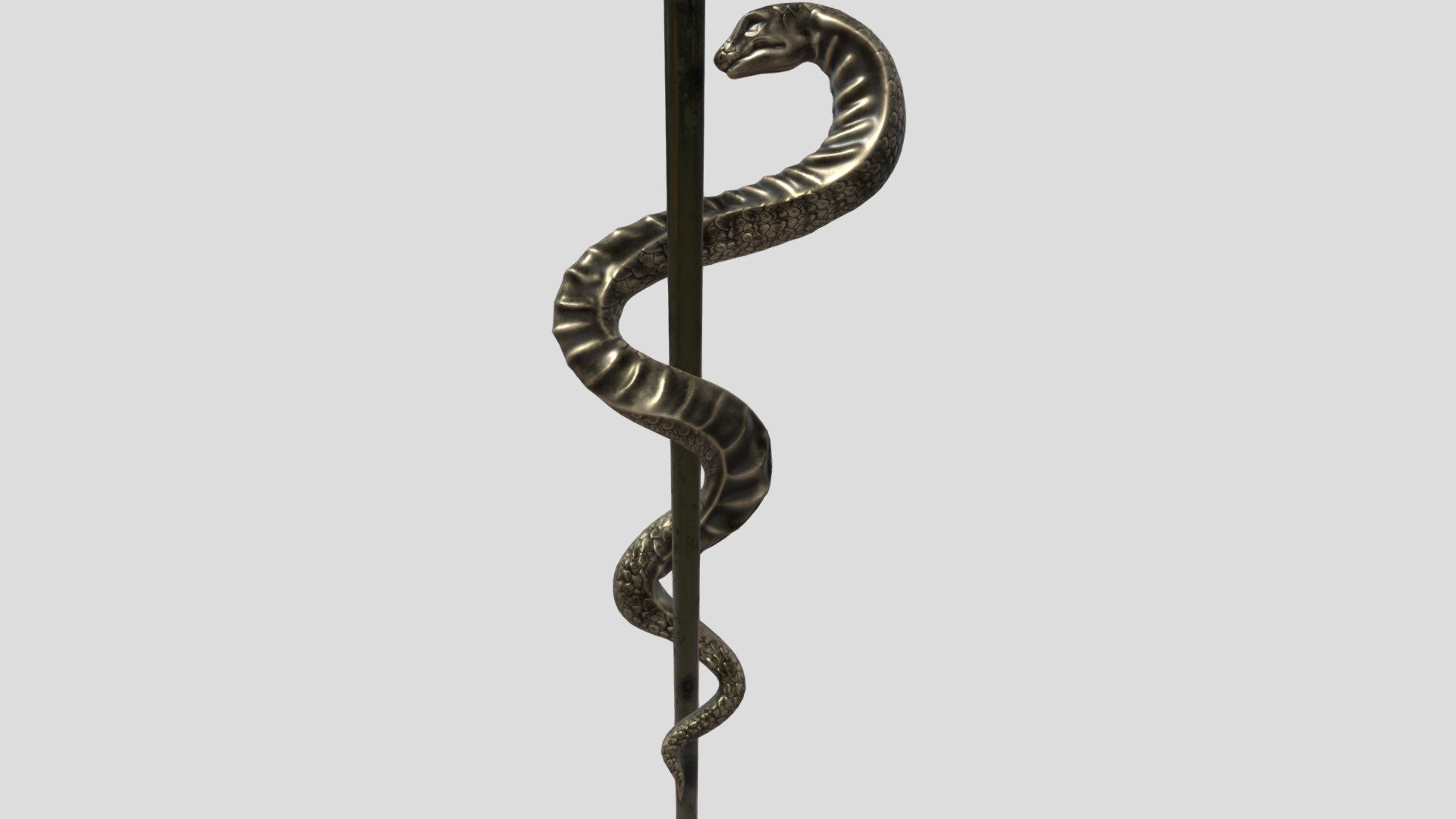 laska eskulapa asset - 3D model by MASAKRATOR DYZIO (@oliwek) [9cc093a ...