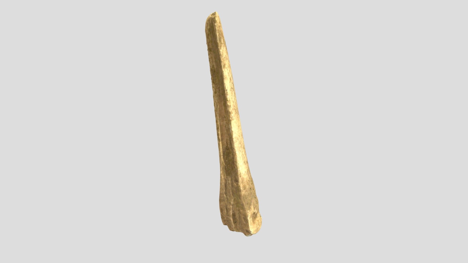 Bone Awl (VCU_3D_4673) - Download Free 3D model by Virtual Curation Lab ...