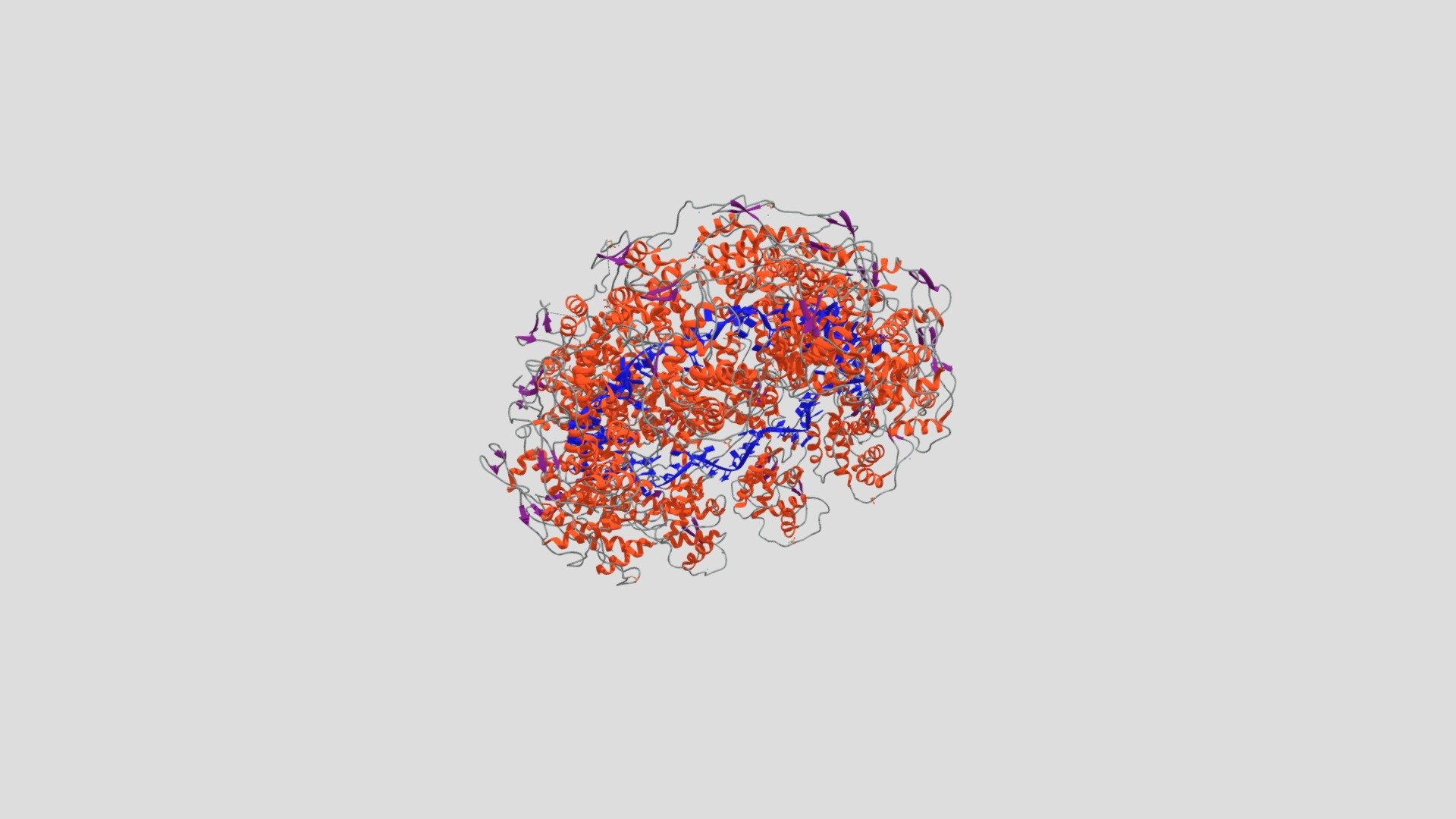 nucleocapsid-RNA complex of rhabdovirus - Download Free 3D model by ...