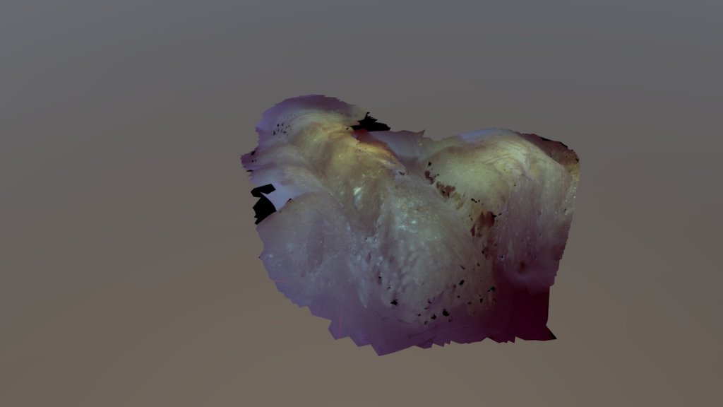 Deep Sea Rock - 3D model by NOAA_NEFSC [9cc86d6] - Sketchfab
