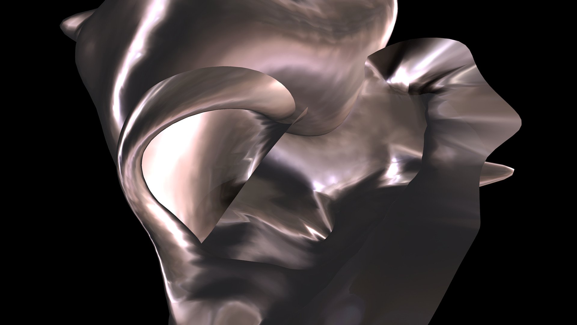 CONCH - 3D model by Angie Rico (@AngieRico) [9ccc88a] - Sketchfab