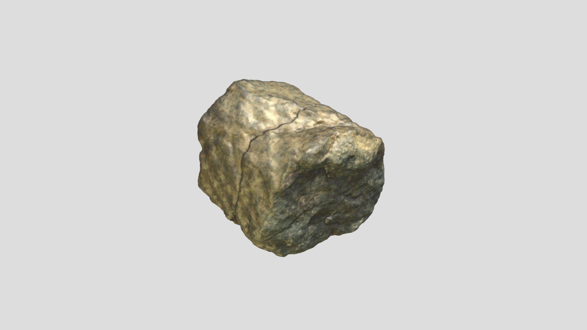 Devonian Lycopod fossil of Planteryggen Fm - 3D model by magnusweijers ...